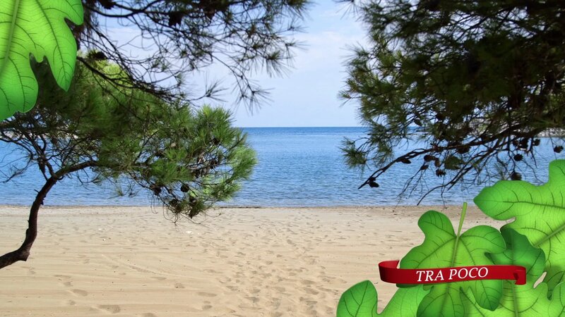 L'Isola di Adamo ed Eva - Alle Origini dell'Amore - Смотреть онлайн в ...