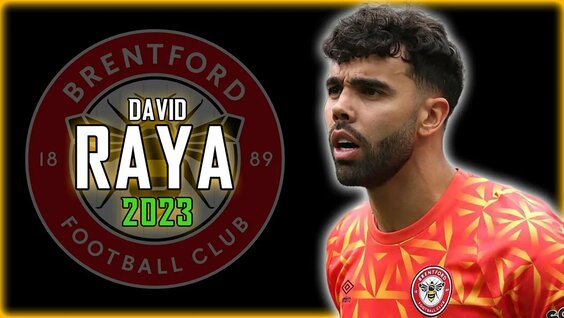 david raya: 994 video Yandex'te bulundu