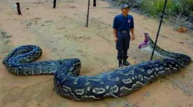 Eng Katta Ilonlar Top 5 - Смотреть онлайн в поиске Яндекса по Видео