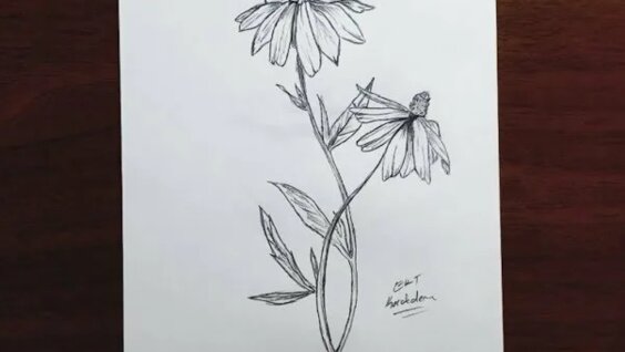 papatya çizimleri karakalem: 1 bin video Yandex'te bulundu