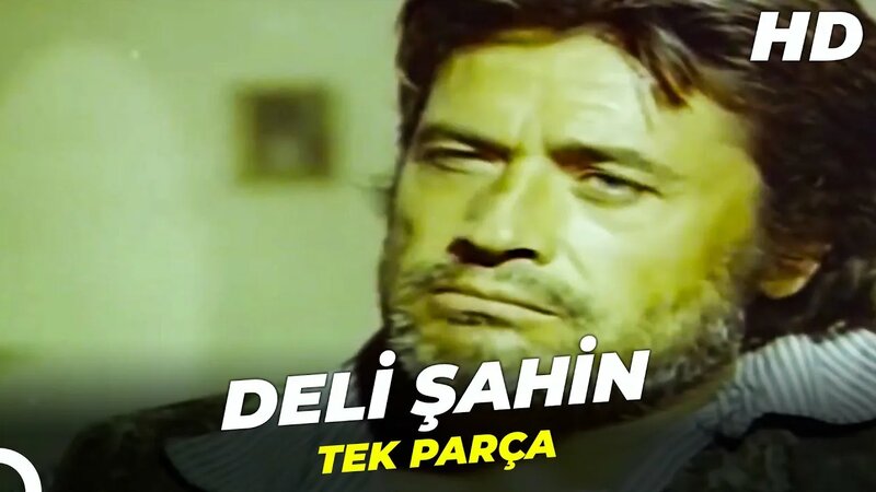 Deli Şahin | Cüneyt Arkın Türk Filmi - Yandex Video aramada çevrimiçi izle