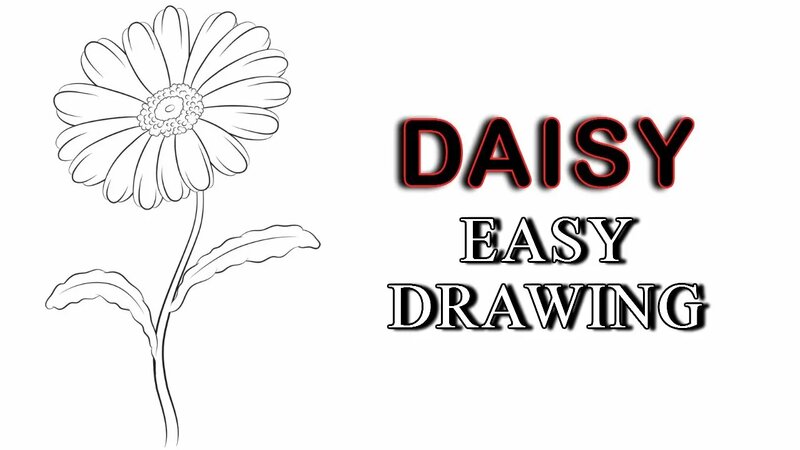 How to Draw a Daisy Flower | Easy Step by Step Daisy Drawing for Beginners
