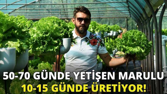 marul çizimi: 684 video Yandex'te bulundu