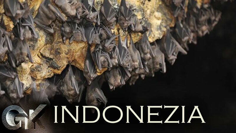 Храм летучих мышей. Бали. Индонезия / Temple of bats. Bali. Travel to ...