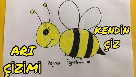 arı çizimi basit: 84 video Yandex'te bulundu