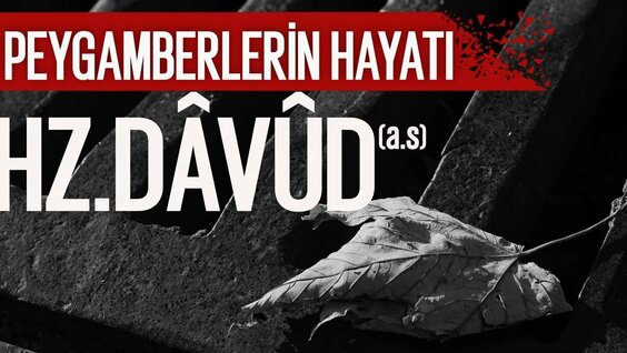 hz davut: 769 video Yandex'te bulundu