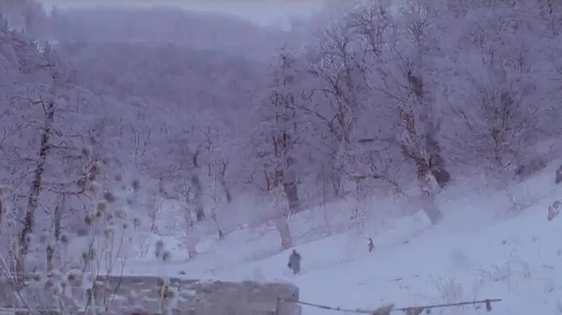 Сволочи (2006) — Видео от Фильмы - Смотреть онлайн в поиске Яндекса по ...