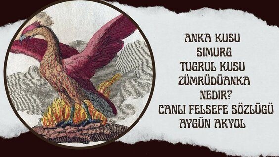 anka kuşu çizimi: 995 video Yandex'te bulundu