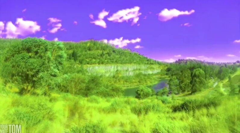High Dose Shrooms Trip Simulation (POV) - Psychedelic Forest Adventure ...