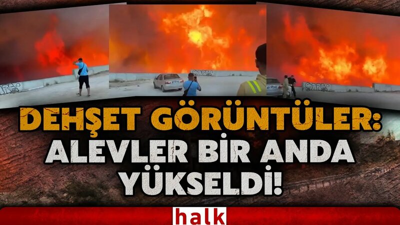 Alevler BİR ANDA Yükseldi! Çanakkale'deki orman yangınında dehşet ...