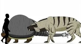 Cenozoic Beasts - Animated Size Comparison — Видео от Дмитрий Римский ...