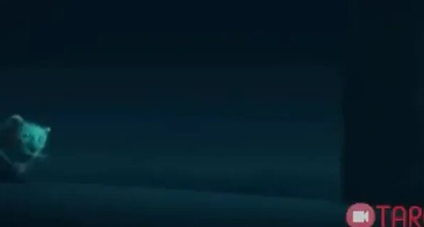 Qirol sher uzbek tilida 2019 / кирол шер - узбек тилида 2019 - Смотреть ...