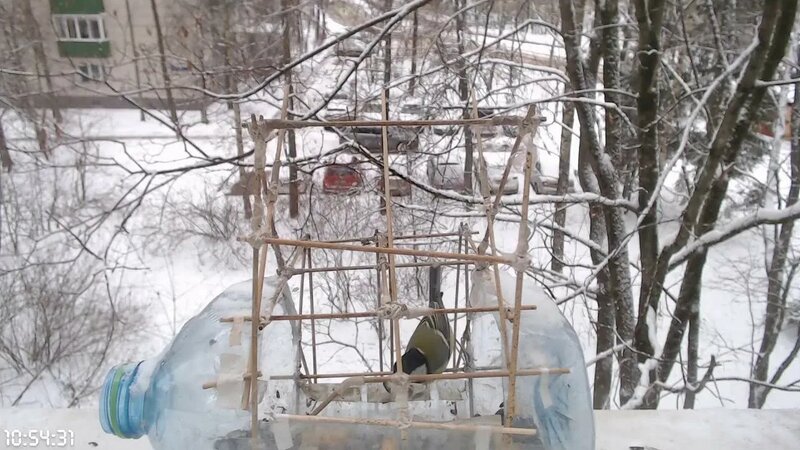 peach_live Live Stream - Смотреть онлайн в поиске Яндекса по Видео