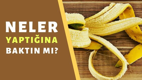 muz resimleri: 572 video Yandex'te bulundu