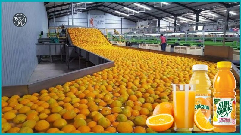 How Orange Juice Is Made in Factory - The Journey of Orange Juice ...