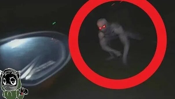 SCP Монстры Снятые НА Камеру [Черный Кот] - Смотреть онлайн в поиске ...