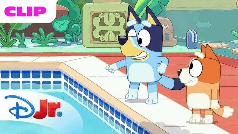 Bluey Season 1 "The Pool" Episode Clip | @disneyjr x ...