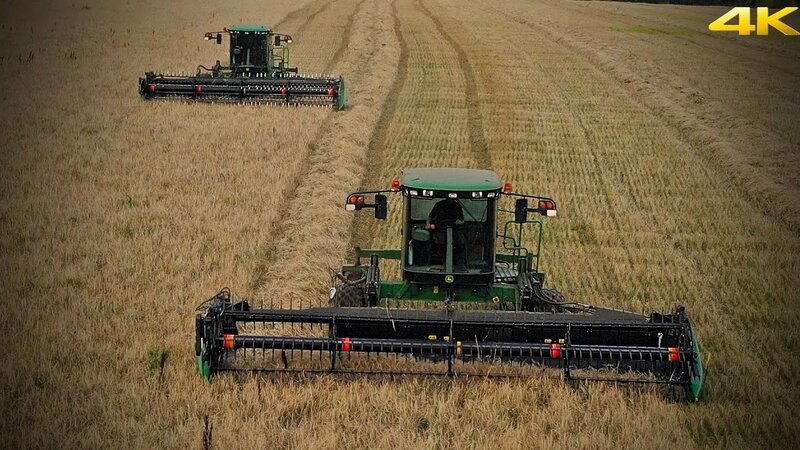 Самоходные косилки John Deere W110 (MacDon M105) косят двойной валок ...