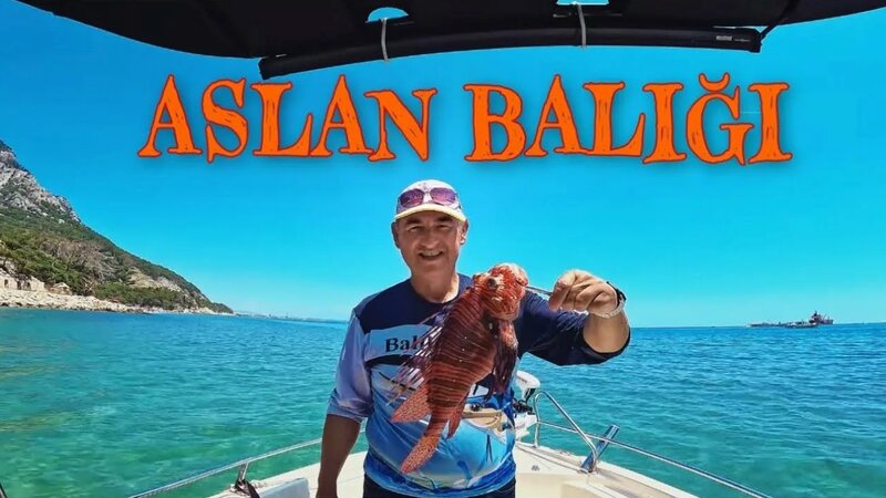 "DEV Grida Balik AVI" Aslan balığını temizledik fileto çıkardık ve ...