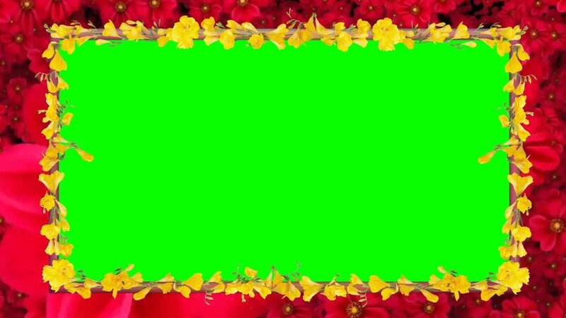 Flower Frame Border Green Screen- YouTube - Yandex Video aramada ...