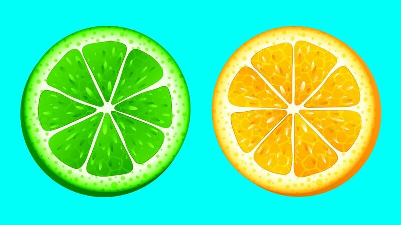 과일, 채소 및 버섯 내부의 숨겨진 패턴 스톱 모션. Hidden Patterns Inside Fruits, Vegetables ...