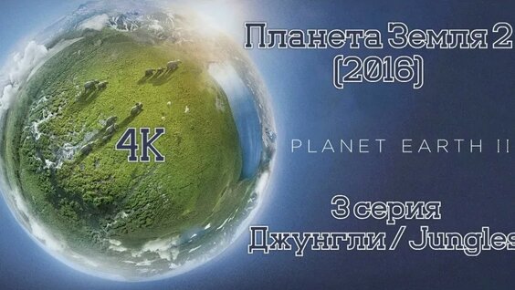 BBC:Планета Земля 2/Planet Earth II - 3 серия - Джунгли/Jungles (2016 ...