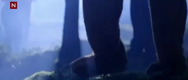 Ylvis - The Fox (What Does the Fox Say) [Official music video HD ...