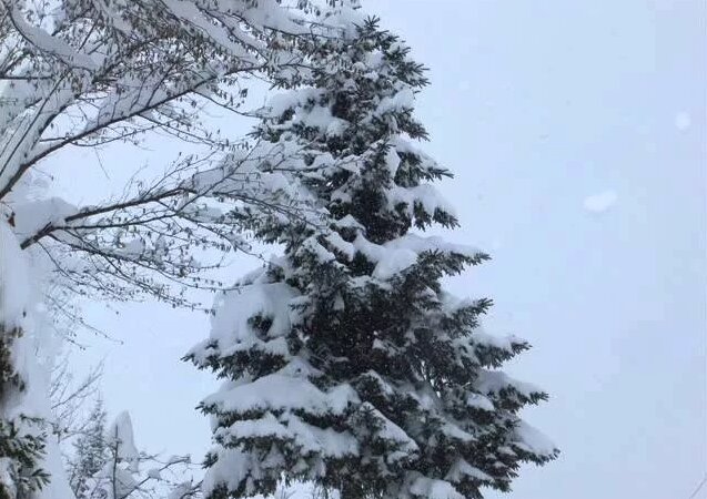 Gerce köyü 2014 kar manzara resimleri