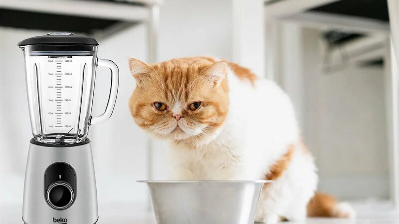 Cat in blender || Cat in the blender video || Cat in a blender full ...