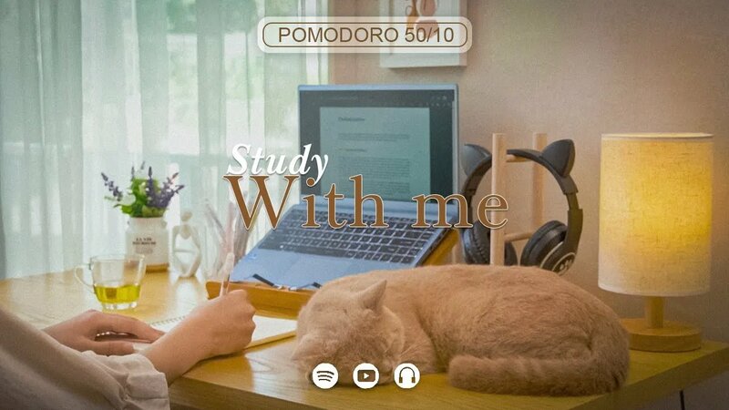 Study with me deep focus lofi pomodoro 50/10 3 x 50 min - Yandex Video ...