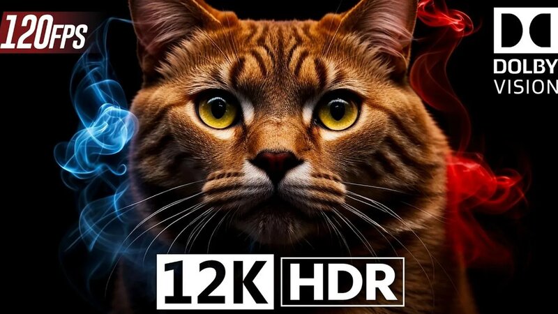 Новый Уровень - Dynamic Crystal Color 12K HDR 120fps Dolby Vision ...