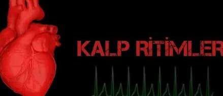 kalp ritmi dövmesi: 905 video Yandex'te bulundu