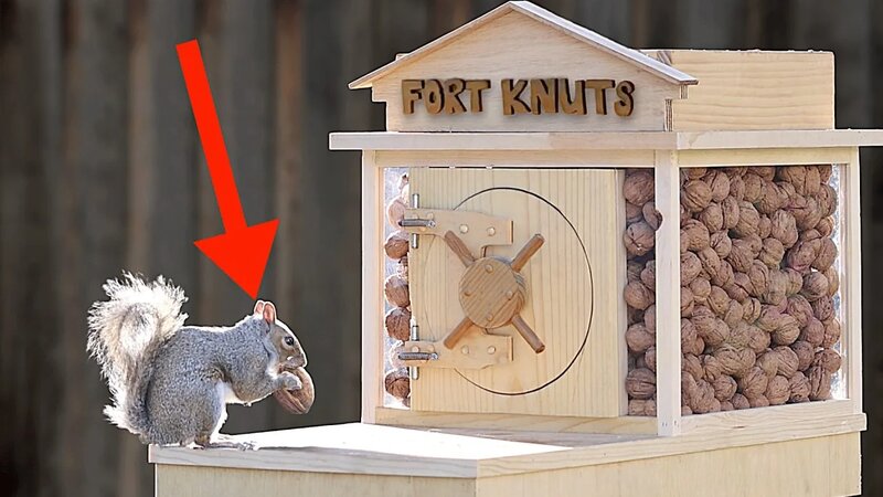 Backyard Squirrel Maze 2.0- The Walnut Heist | [ Марк Робер ] у мистера ...