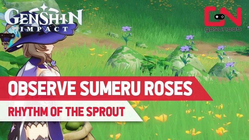 How to Observe the Sumeru Roses to Find the Hidden Song Genshin Impact ...