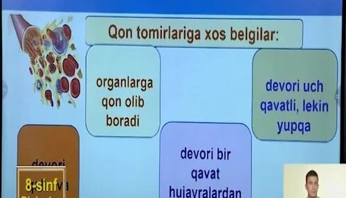 M harfiga video (qizlar uchun)