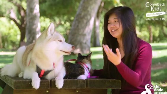 dodo auth: 756 video Yandex'te bulundu