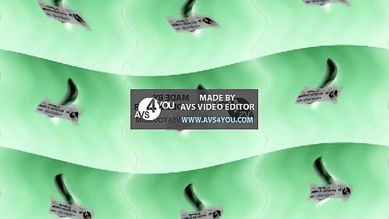 Avs4you Logo Animation Render Pack (Sponsored By DERP WHAT THE FLIP ...