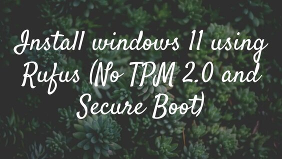 windows 11 rufus no tpm: 986 video Yandex'te bulundu