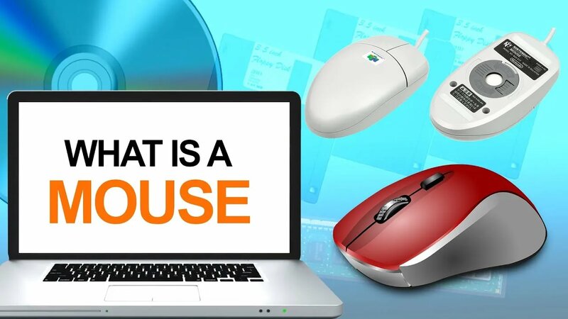 What is a Computer Mouse | Definition & Types of Mouse | How to Use ...