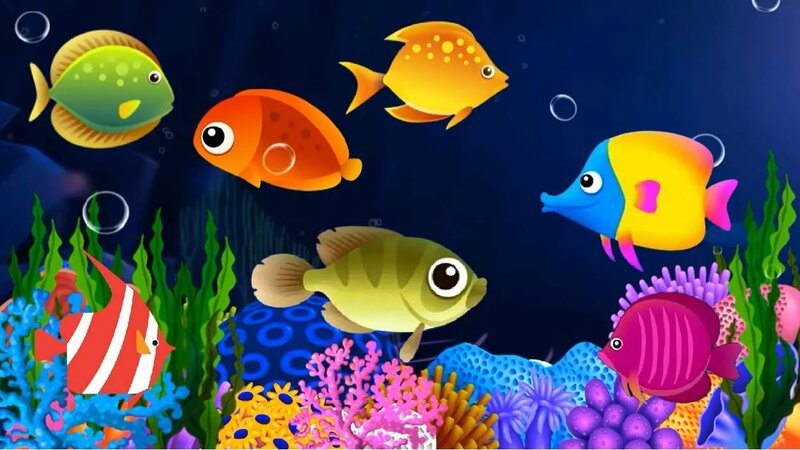 Fish lullaby Bedtime lullaby & calming undersea Fish aquarium Baby ...