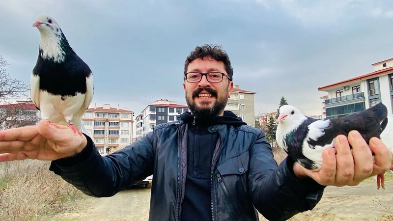 The legendary return of the turning doves from gemlikli and the boatman ...
