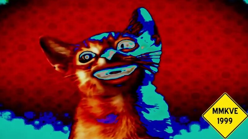 Preview 2 Numa Cat 2022 Effects (My Version) - Смотреть онлайн в поиске ...