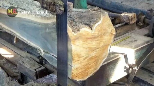 Subhanallah..kayu bolong inilah tujuan utama para bangsawan dunia ...