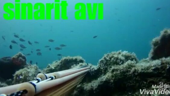 sinarit balığı: 822 video Yandex'te bulundu