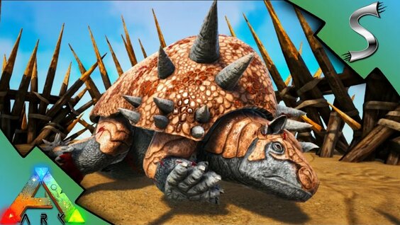 dododex trike: 987 video Yandex'te bulundu