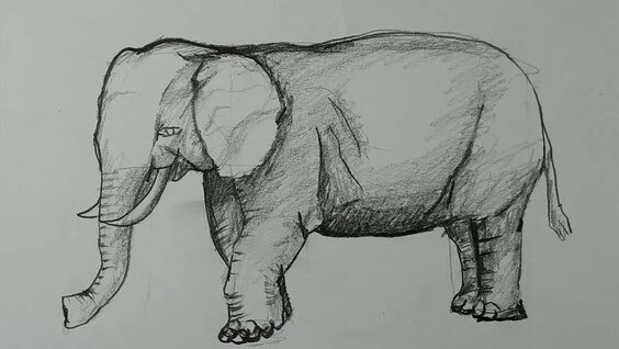 fil resimleri çizimi: 989 video Yandex'te bulundu