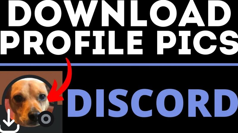How to Save Discord Profile Picture - Download Discord Profile Pictures