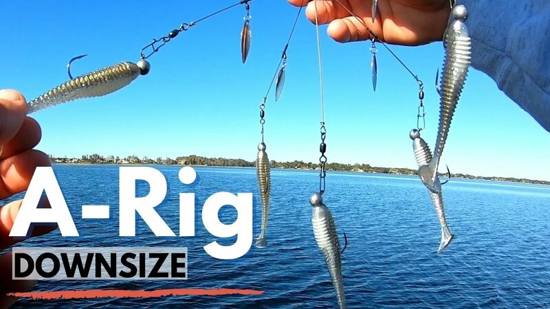 How To Fish an Alabama Rig | Downsize A-Rig to Catch More Bass - Yandex ...