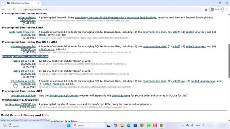 How to Install and Set Up SQLite on Windows 11 (Command Line + GUI Tools) — Видео от ...