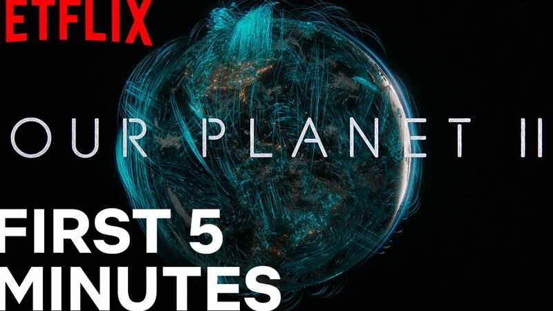 Our Planet II | The First 5 Minutes | Netflix - Смотреть онлайн в ...